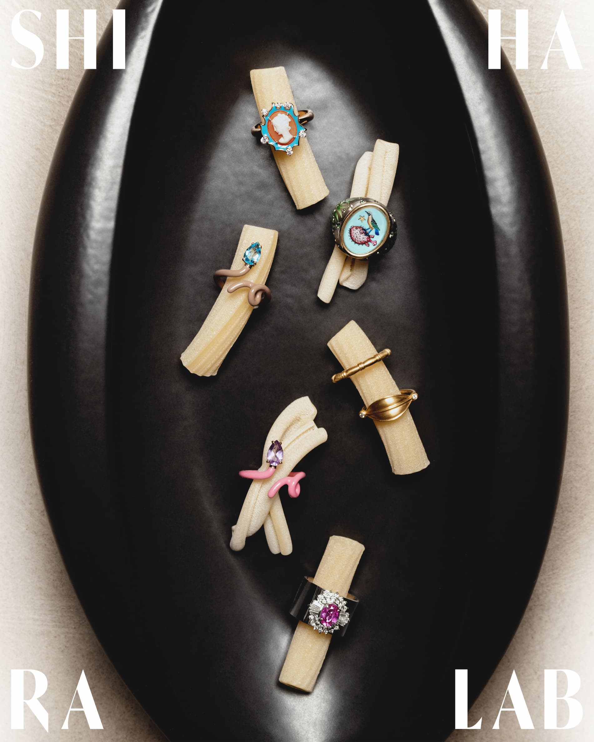 Sparkling Weekend in June – Shihara Lab